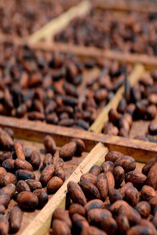 Our Products | Elephant Group PLC